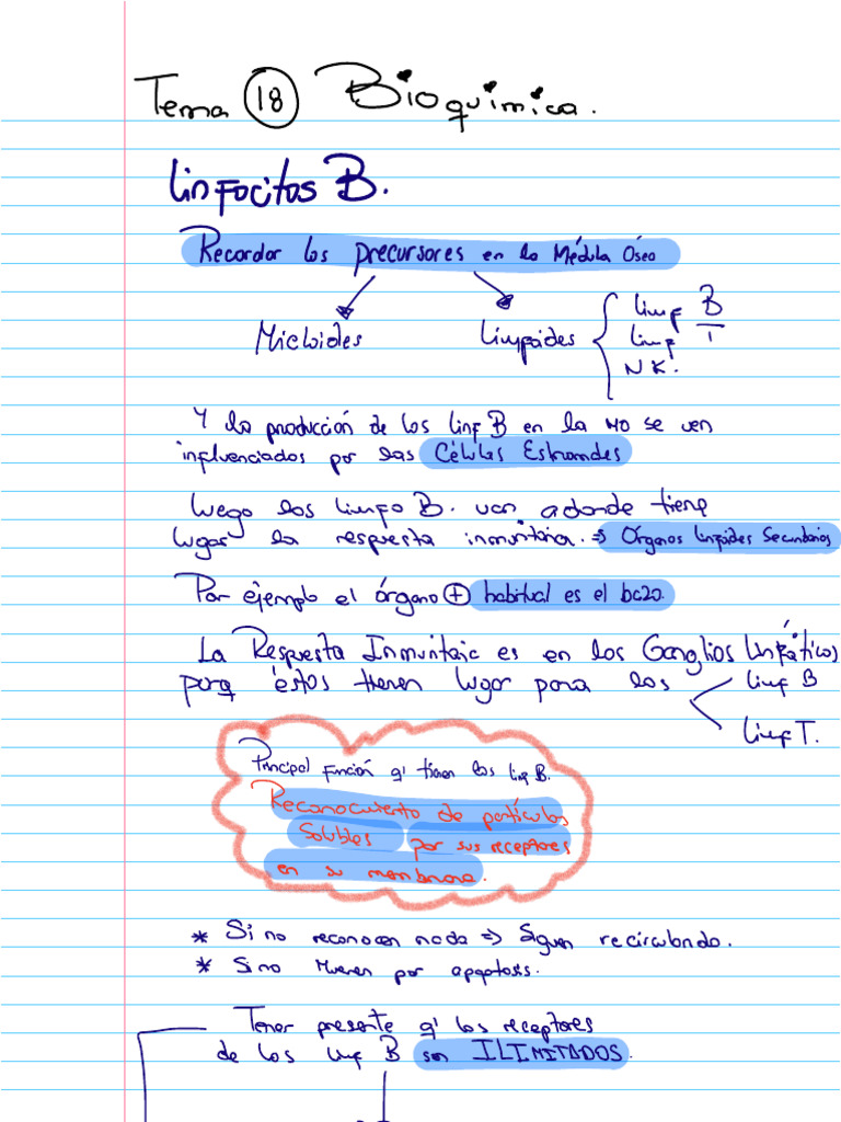 Nota 30 Dic 2024 | PDF | Linfocitos | Célula B
