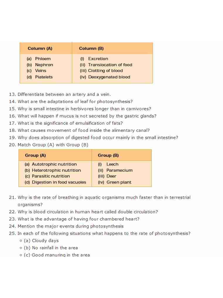 Imo Question 10 2 | PDF