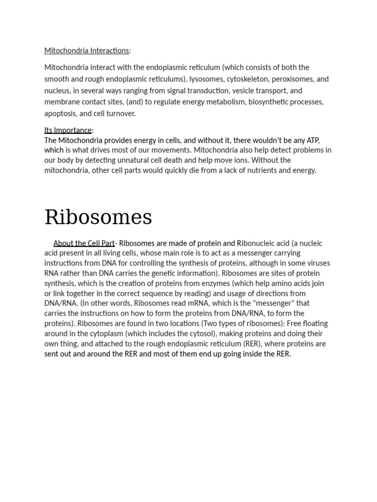 Mitochondria and Ribosome Notes | PDF