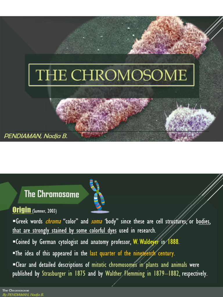 (Mfpb01) Chromosomes Pendiaman | PDF | Karyotype | Chromosome