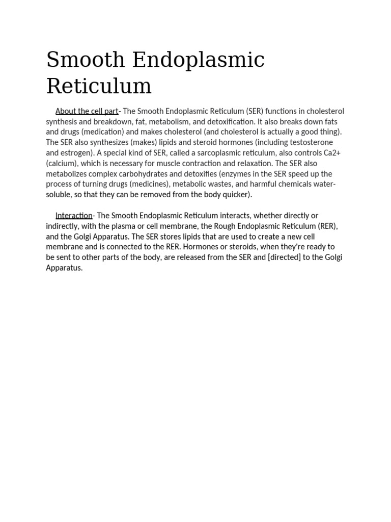 Smooth Endoplasmic Reticulum notes | PDF