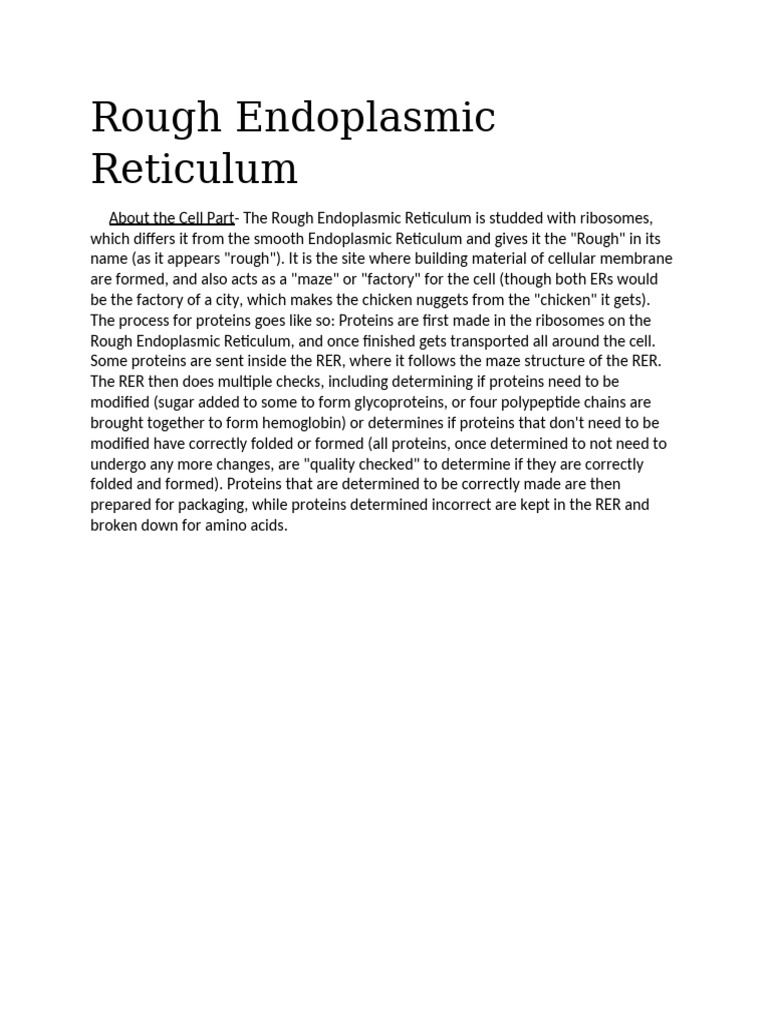 Rough Endoplasmic Reticulum Notes | PDF