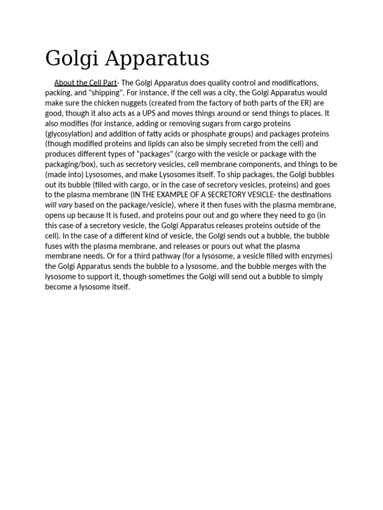 Golgi Apparatus Explanation-Notes | PDF