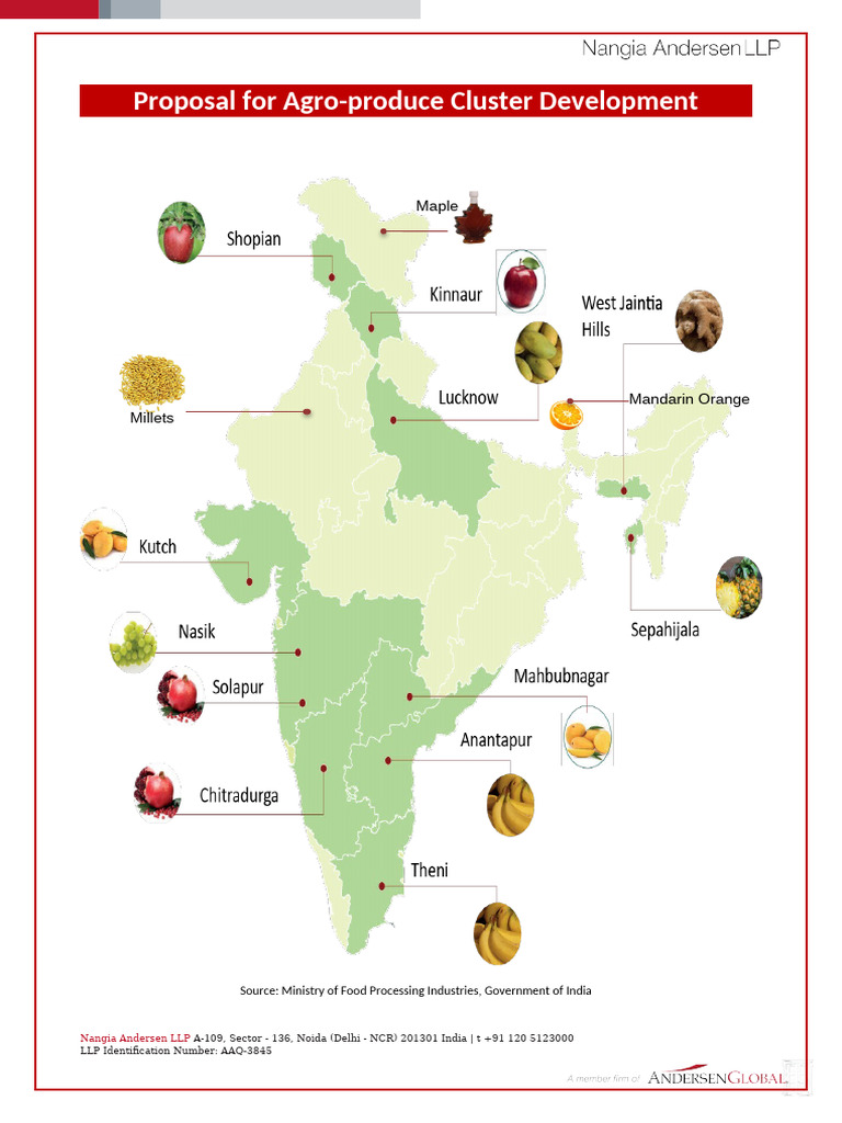 Agro-Produce Cluster Development Proposal | PDF | Agriculture | Supply ...