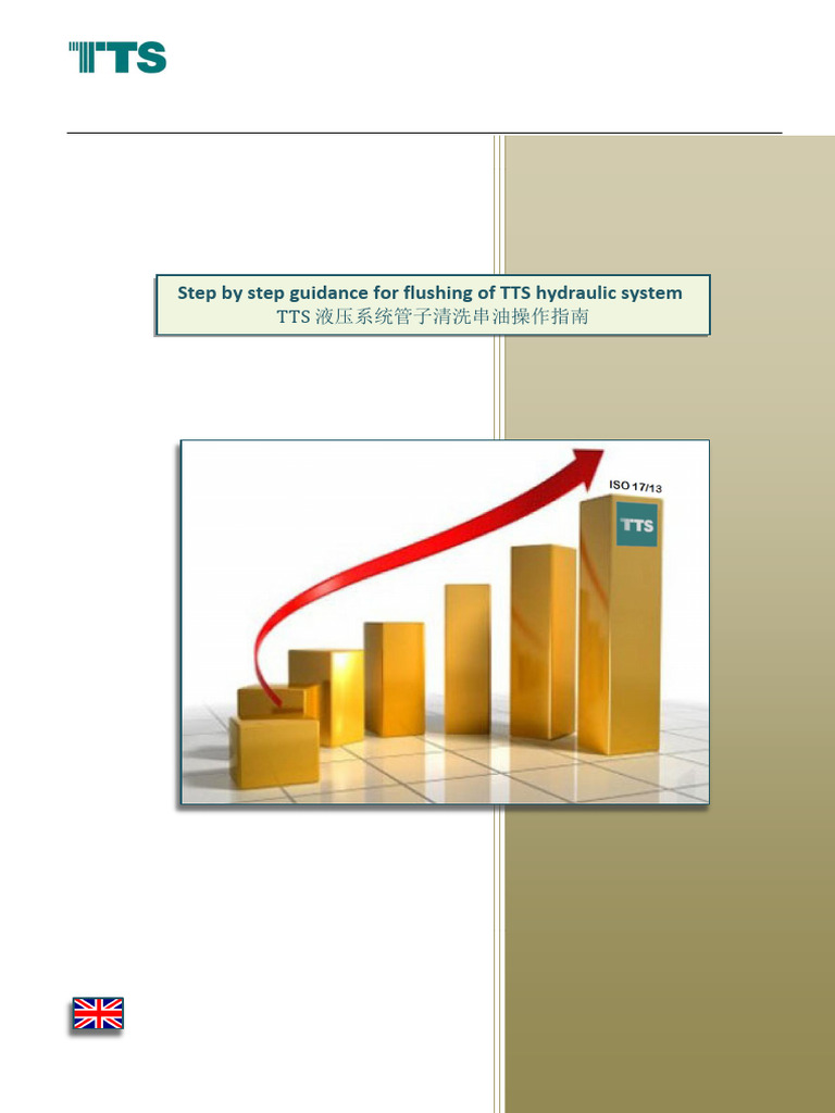 TTS Flushing guide | PDF | Pump | Reynolds Number