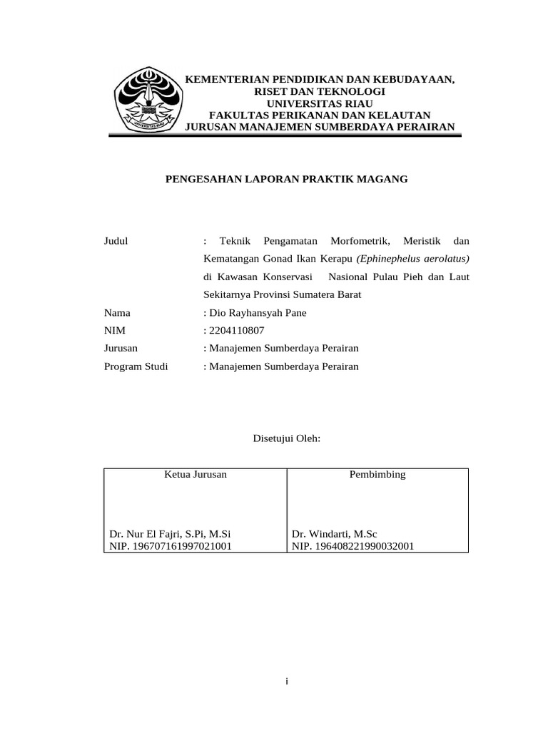 LAPORAN MAGANG MBKM TEMATIK_DIO RAYHANSYAH PANE (2) | PDF