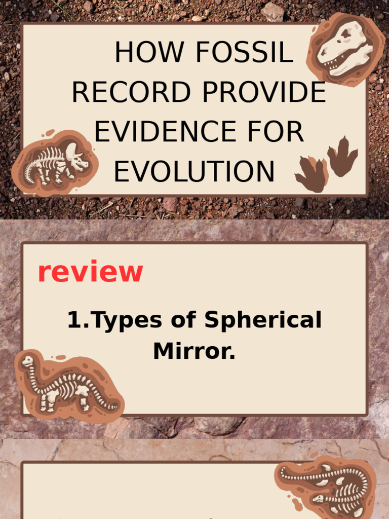 Fossil Record Evidence for Evolution | PDF | Fossil | Evolution