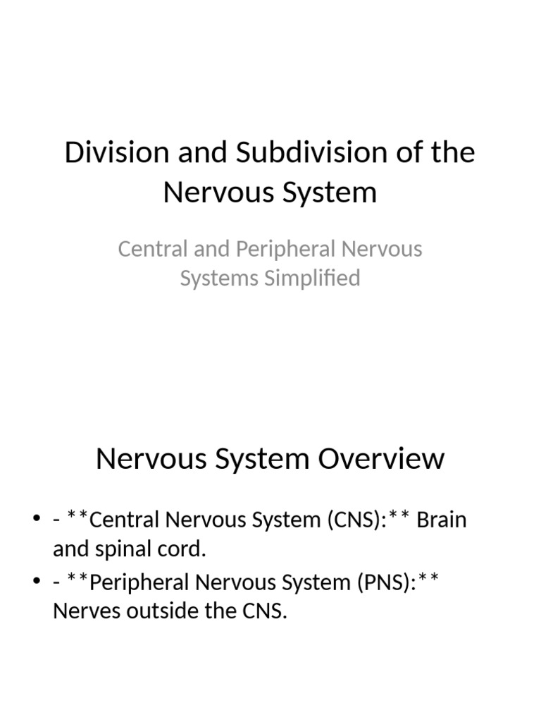 Division and Subdivision of Nervous System | PDF