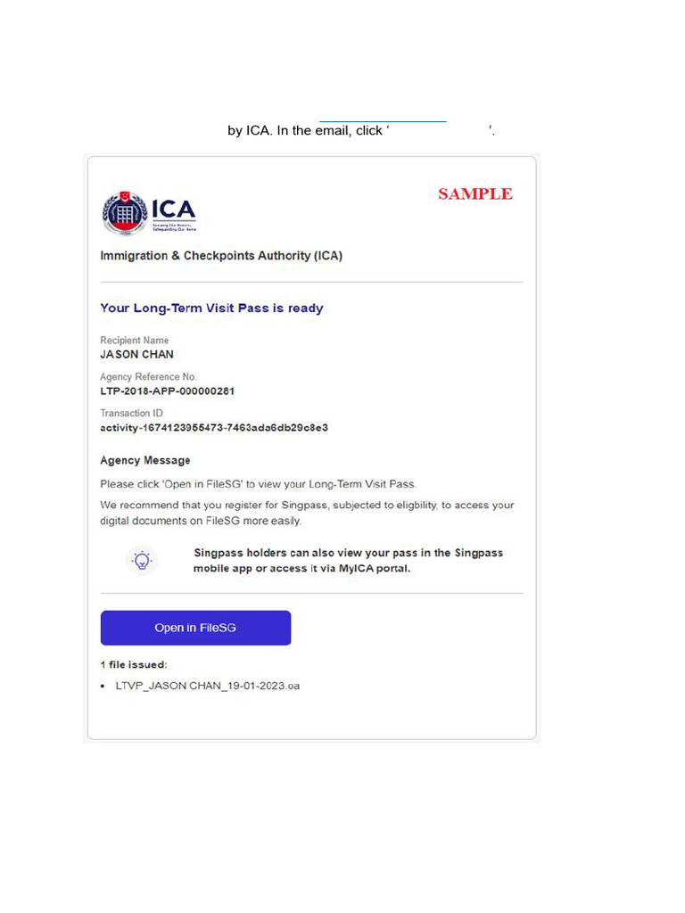 steps-to-retrieve-digital-long-term-pass-(non-singpass-login) | PDF