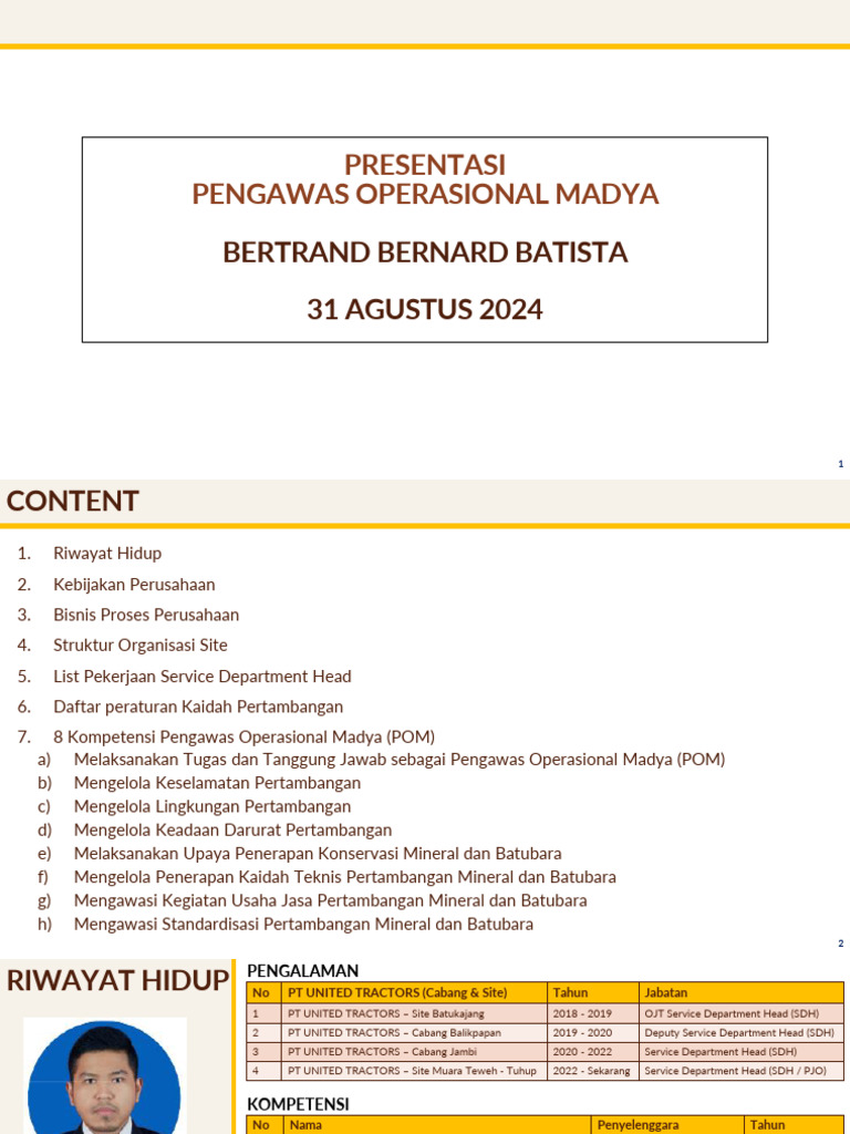 PRESENTASIBERTRANDUTrev2 POM | PDF