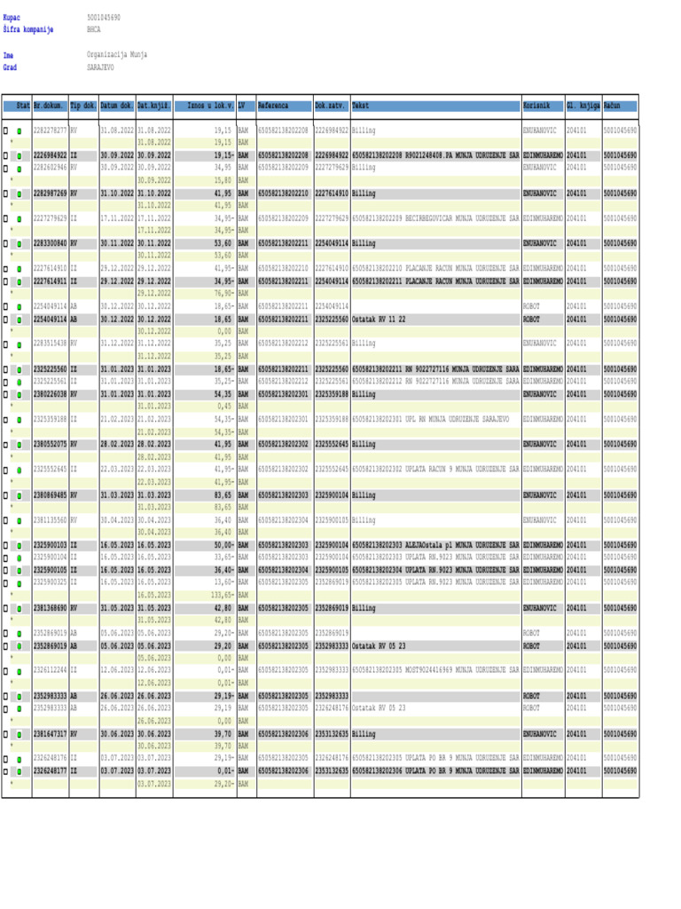 Organizacija Munja | PDF