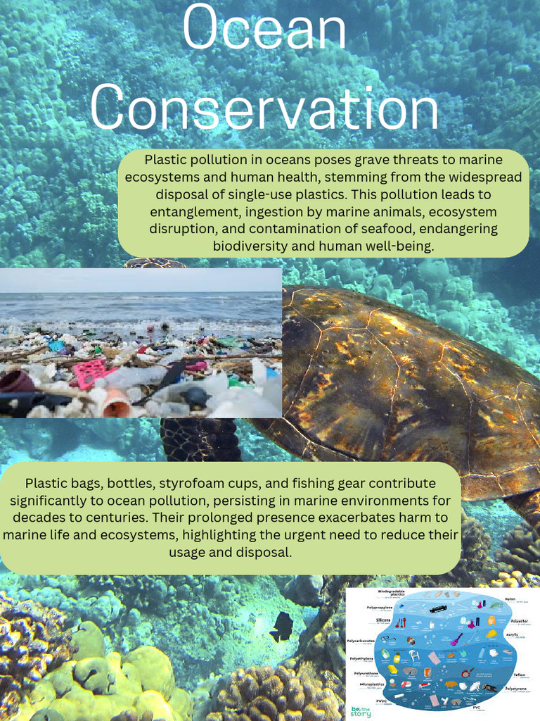 Plastic Pollution in Oceans | PDF