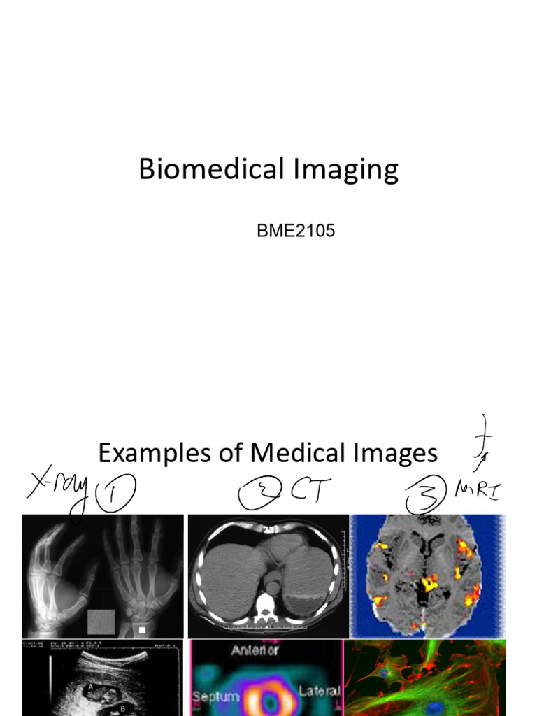 Lecture 3-4, Biomedical Imaging (3) | PDF | Angiography | Magnetic Resonance Imaging