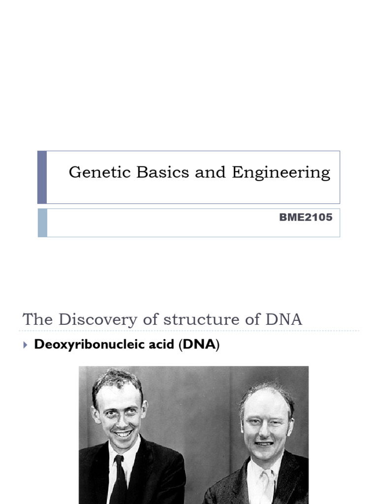 Genetic Engineering Insights Pdf Dna Translation Biology