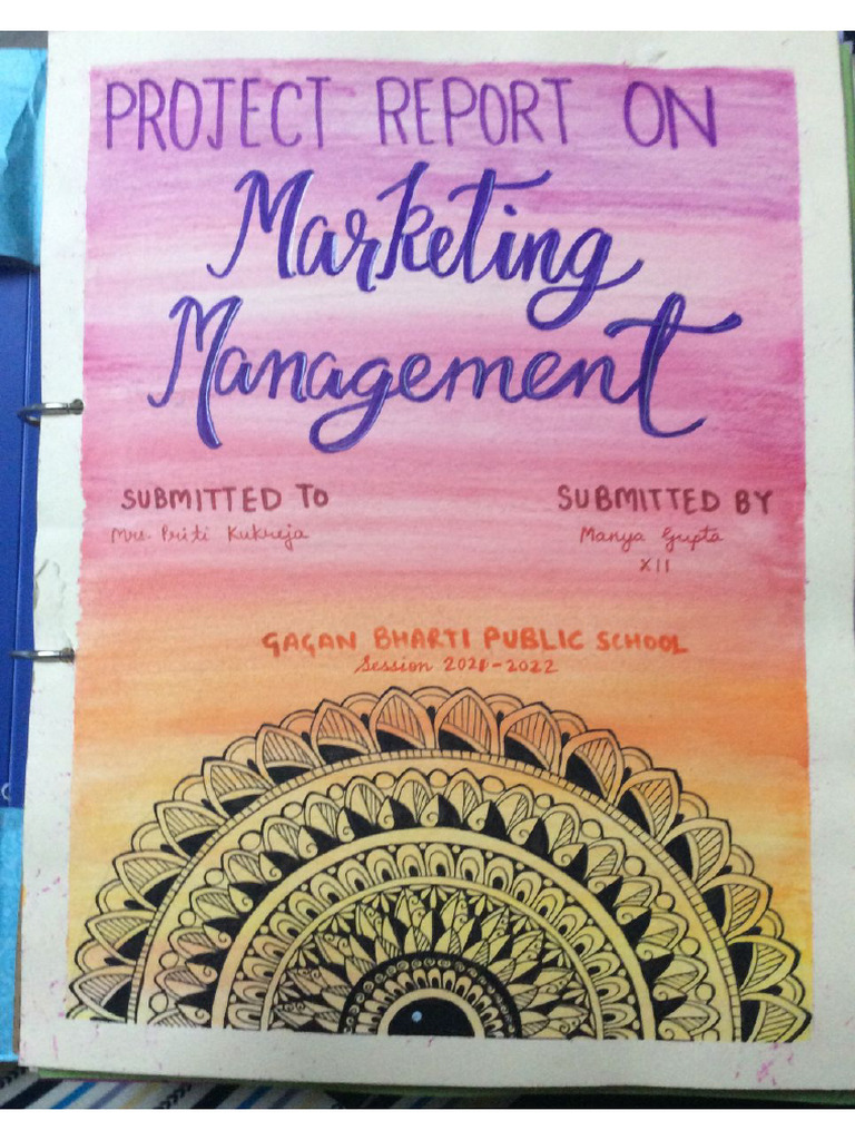 Business Studies Project | PDF