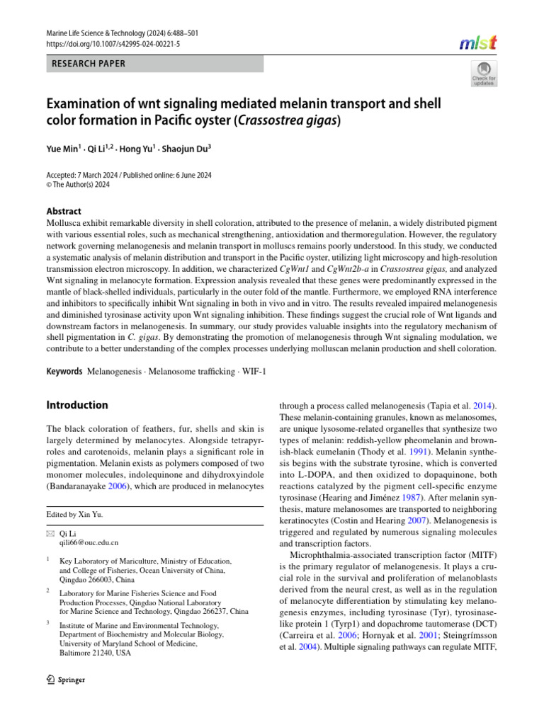Examination of WNT Signaling Mediated Melanin Transport and Shell Color ...