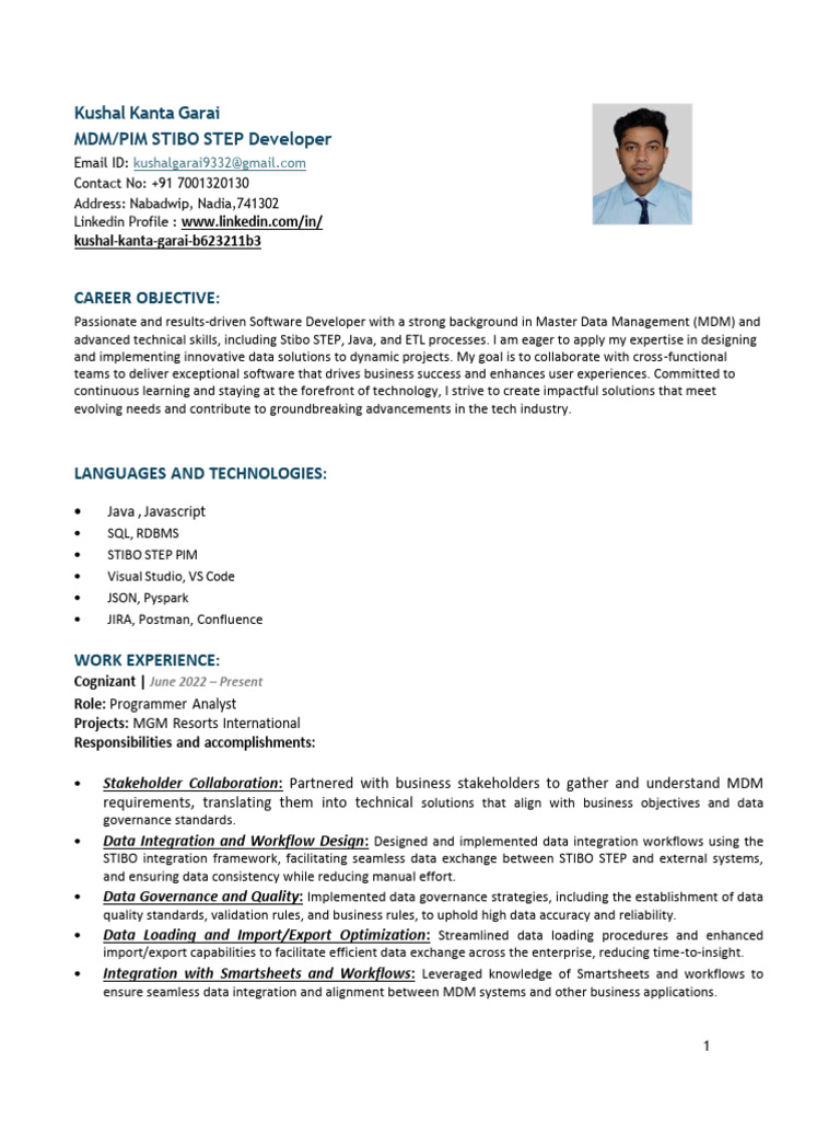 MDM Developer Profile Overview | PDF | Json | Information Technology Management