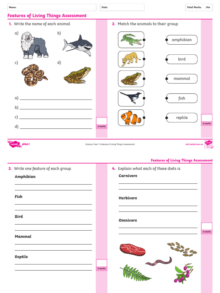 Au SC 2845 Year 1 Science Features of Living Things Assessment Ver 1 ...