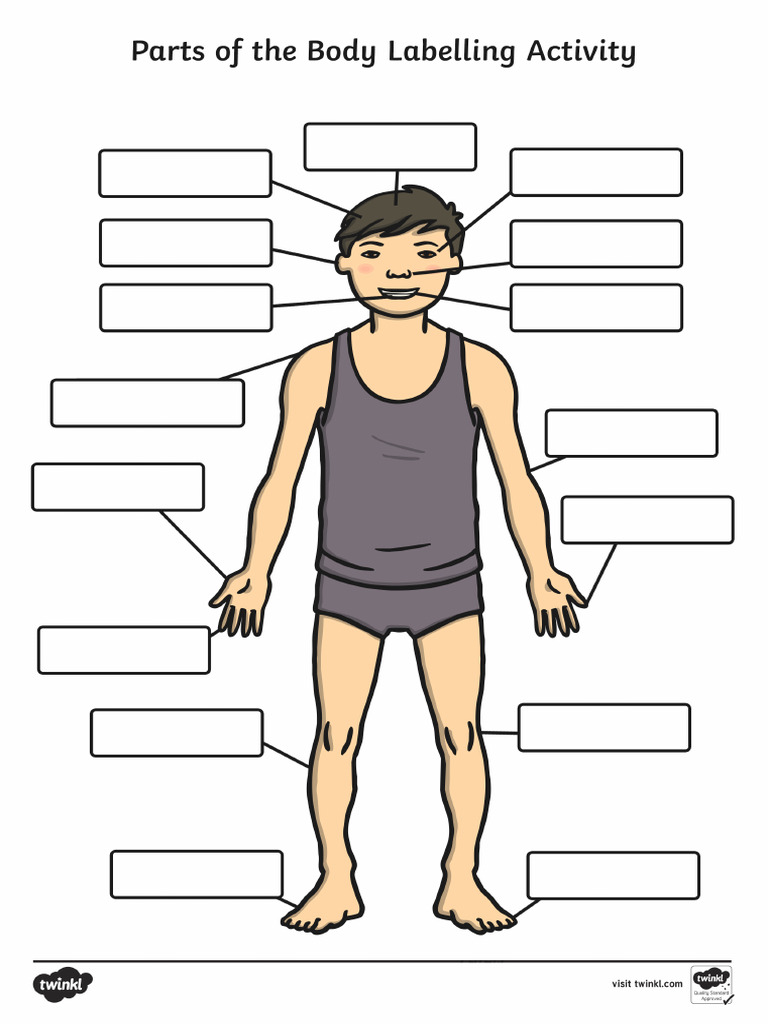 T T 23476 Body Parts Labelling Activity Ver 3 | PDF