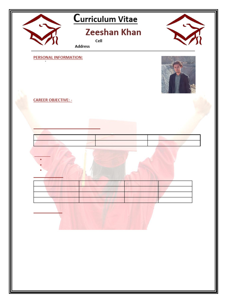 Zeeshan Khan CV | PDF