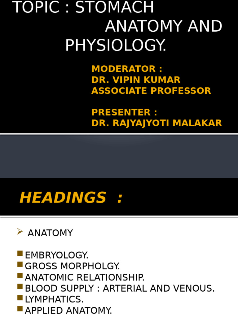 Stomach - Anatomy and Physiology | PDF | Stomach | Esophagus