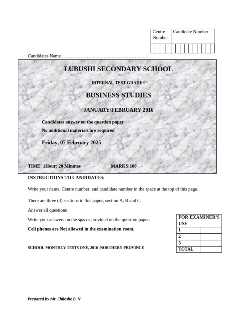 Grade 9 Business Studies Test 2025 | PDF | Business | Economies