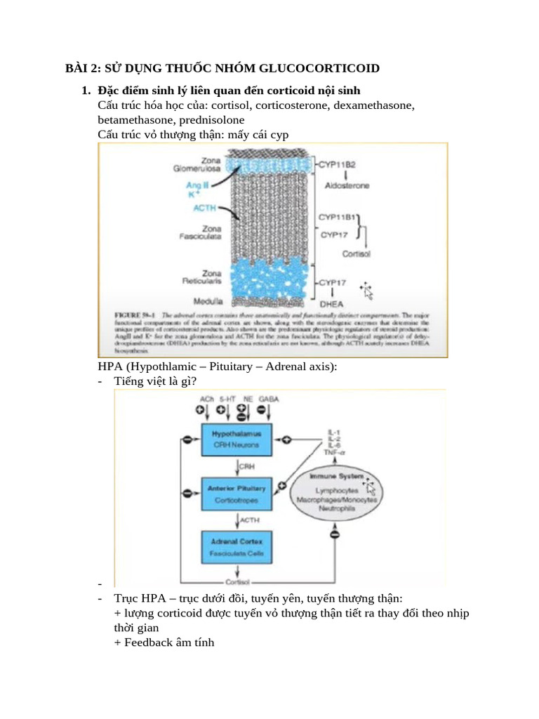 BÀI 2 Nguyên Tắc Sd Corticoid | PDF