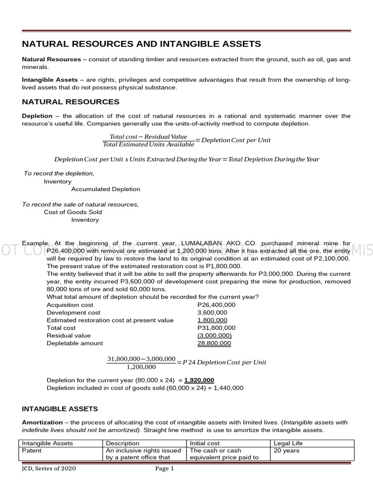 Natural Resources and Intangible Assets | PDF | Intangible Asset ...