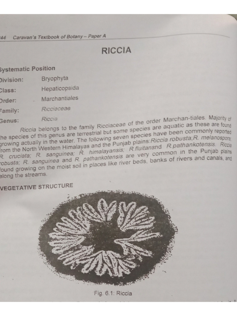 Botany | PDF