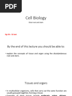Plant Tissues Notes | PDF | Tissue (Biology) | Plant Stem