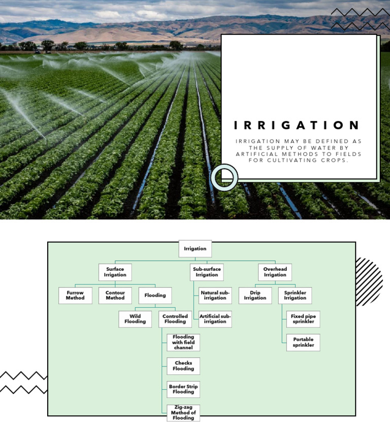 Irrigation | PDF