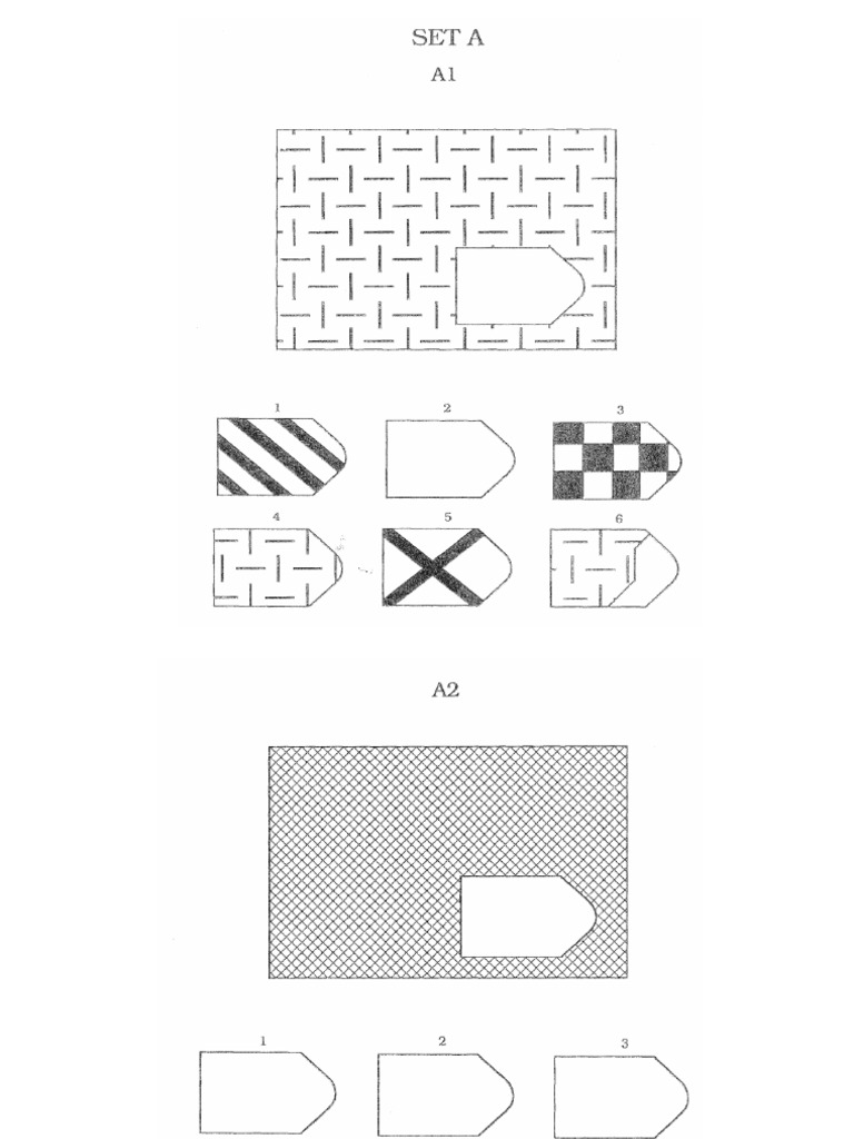 Matrizes de Raven Pranchas - SPM | PDF