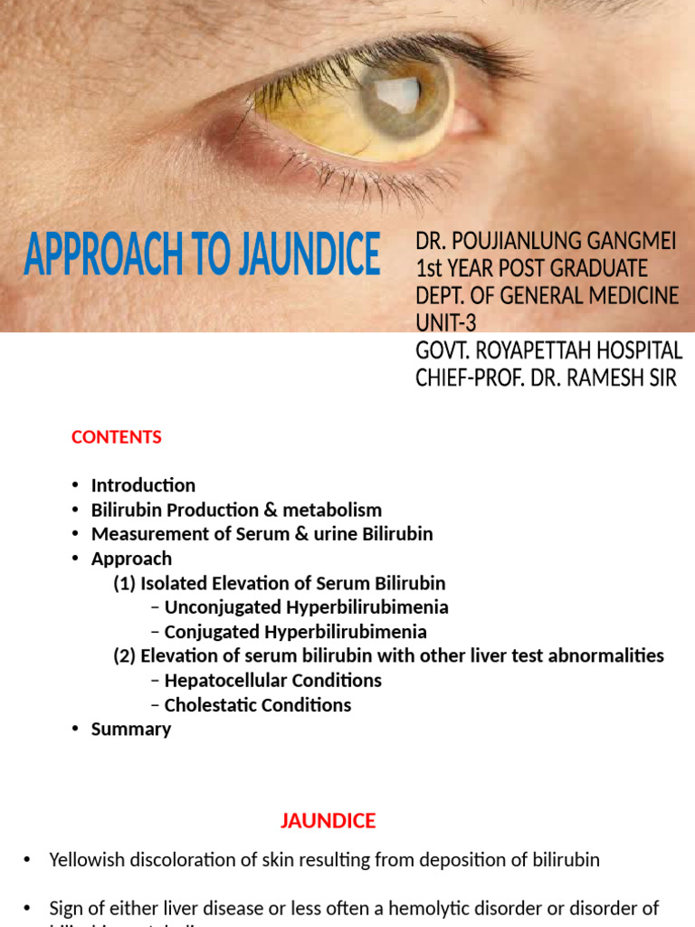 Jaundice Approach | PDF | Hepatitis | Cirrhosis