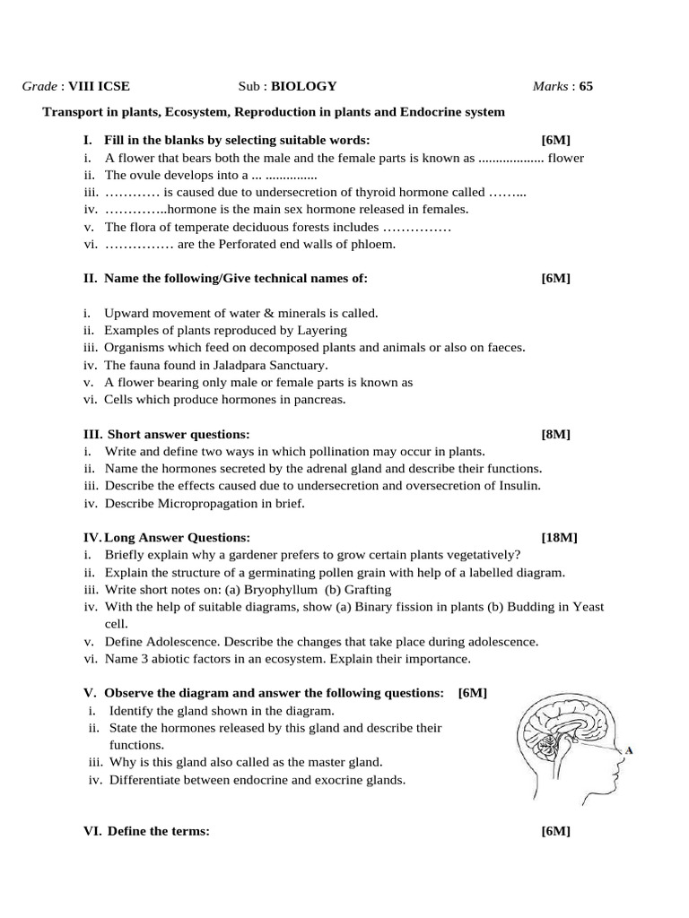 8th Grade Biology: Key Concepts & Terms | PDF | Hormone | Flowers