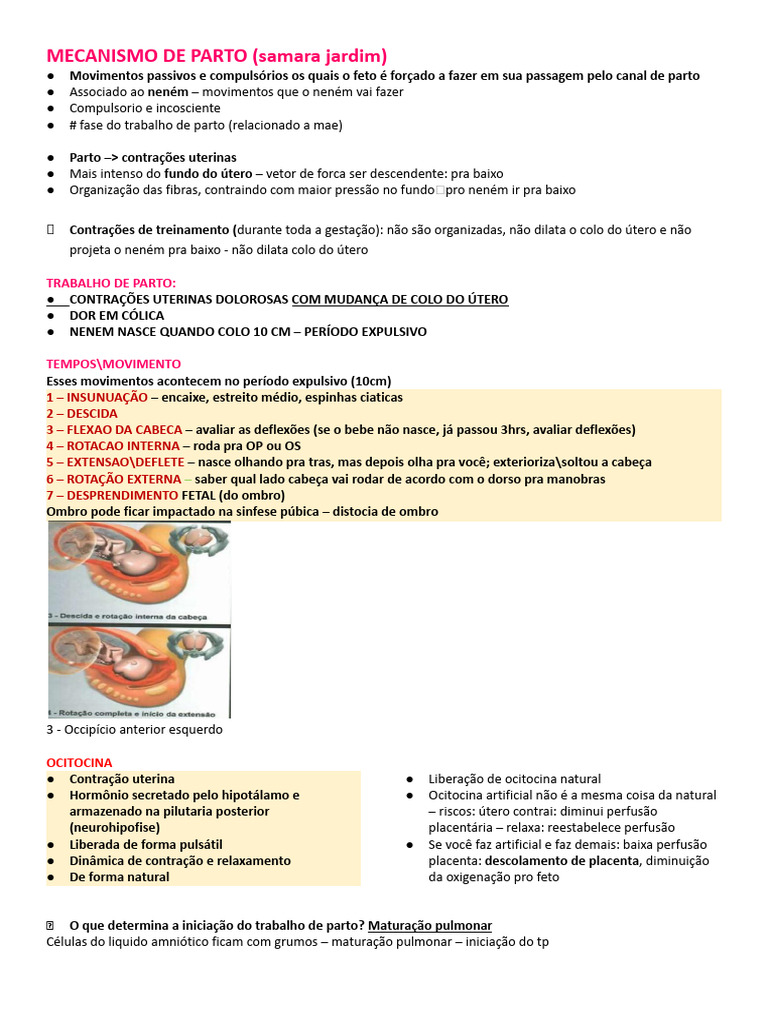 GINECOLOGIA 04 - Mecanismos de Parto.docx | PDF | Parto | Placenta