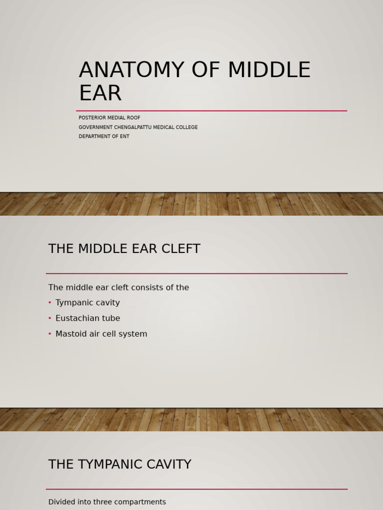 Anatomy of the Middle Ear Walls | PDF | Ear | Otorhinolaryngology
