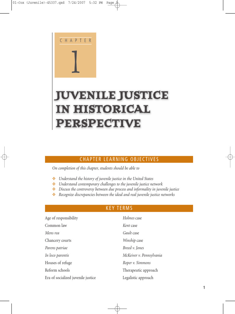 Juvenile Justice in Historical Perspective | PDF | Juvenile Delinquency ...