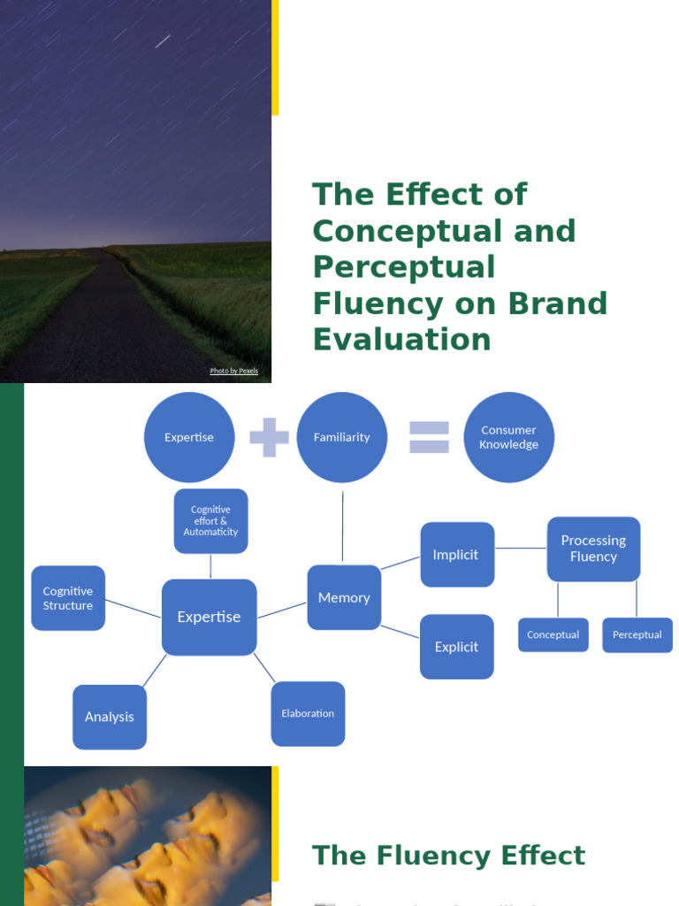 Conceptul Fluency | PDF | Affect (Psychology) | Metacognition