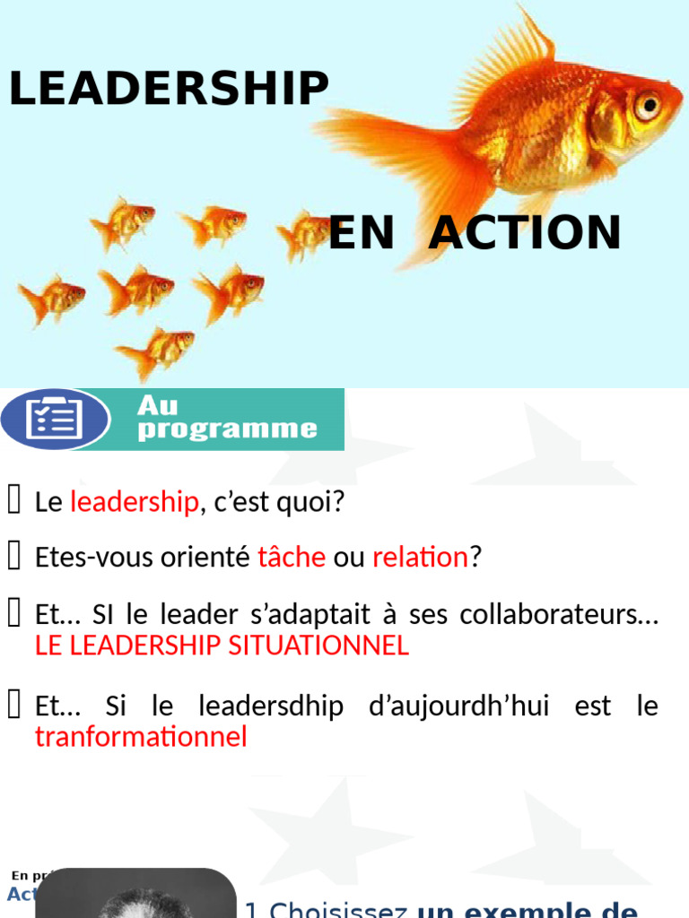 LEADERSHIP EN ACTION Cours | PDF | Direction | Contrôle (Social et ...