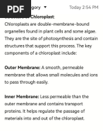 Chloroplast Labelled A Level Diagram | PDF | Chloroplast | Cell (Biology)