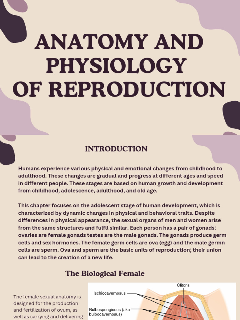Anatomy and Physiology of Reproduction | PDF | Menstrual Cycle | Birth ...