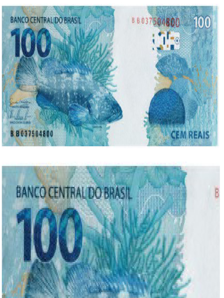 100 Reais PDF | PDF