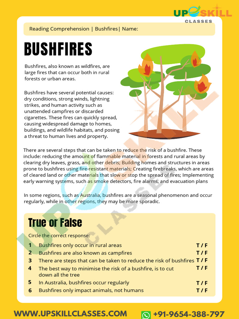 Yr4 - Earth Science Bushfires Worksheet - UpSkill Classes | PDF