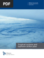 Typhoon Readiness Checklist | PDF | Emergency Management | Safety