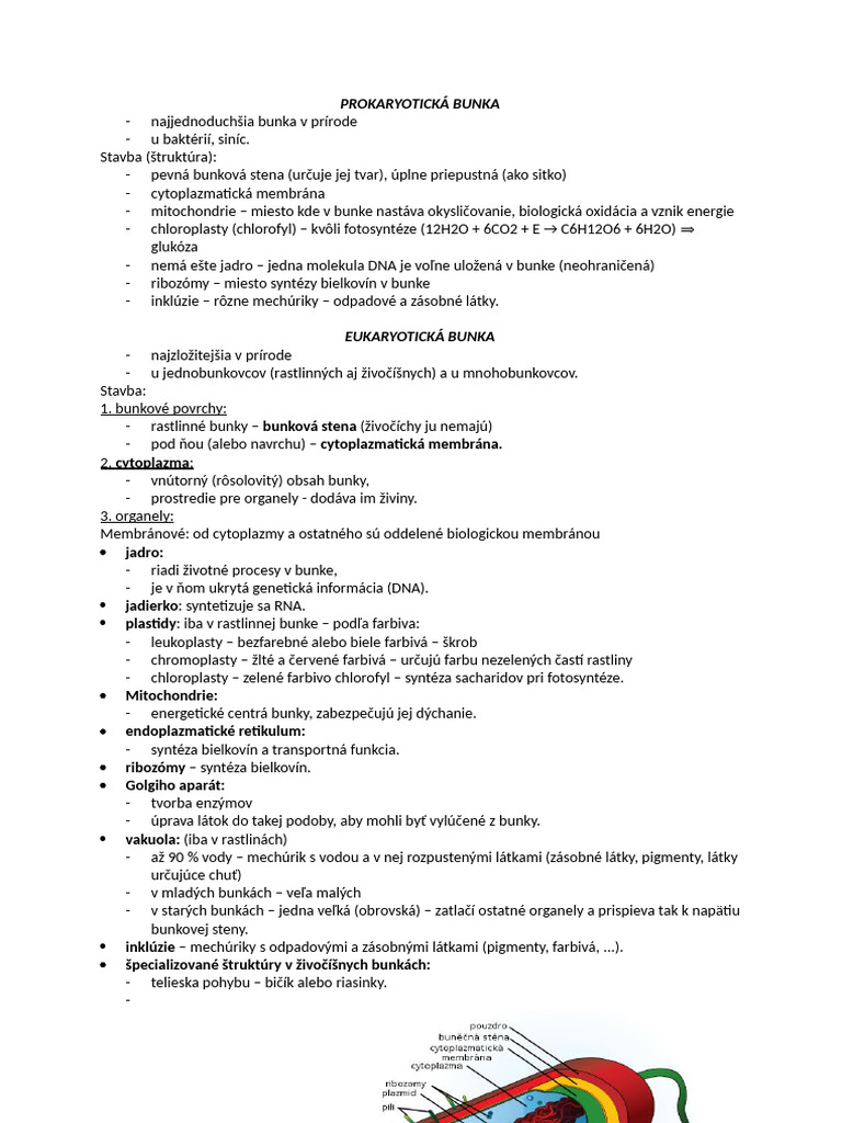 Prokaryotická A Eukaryotická Bunka - Poznámky | PDF