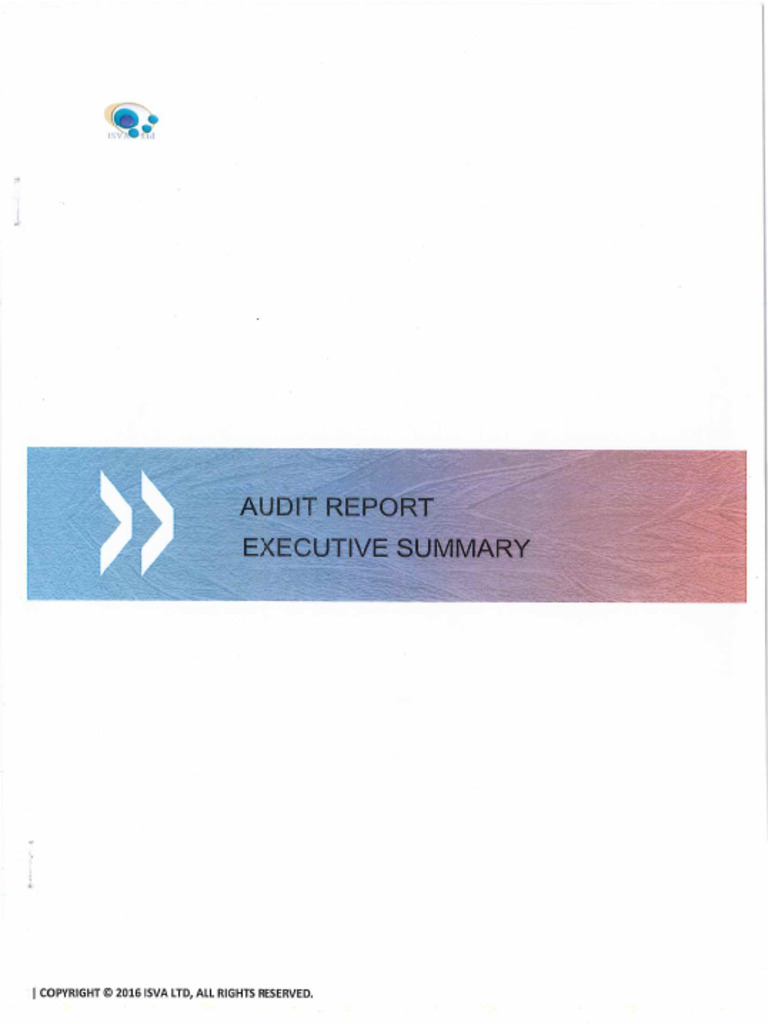 Audit Report Executive Summary | PDF