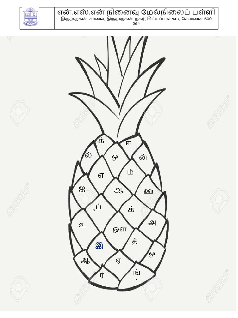 PINEAPPLE | PDF