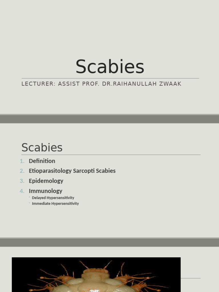 Scabies | PDF