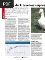 Lohmann Brown Lohmann LSL: Parent Stock | PDF | Nutrients | Vaccines