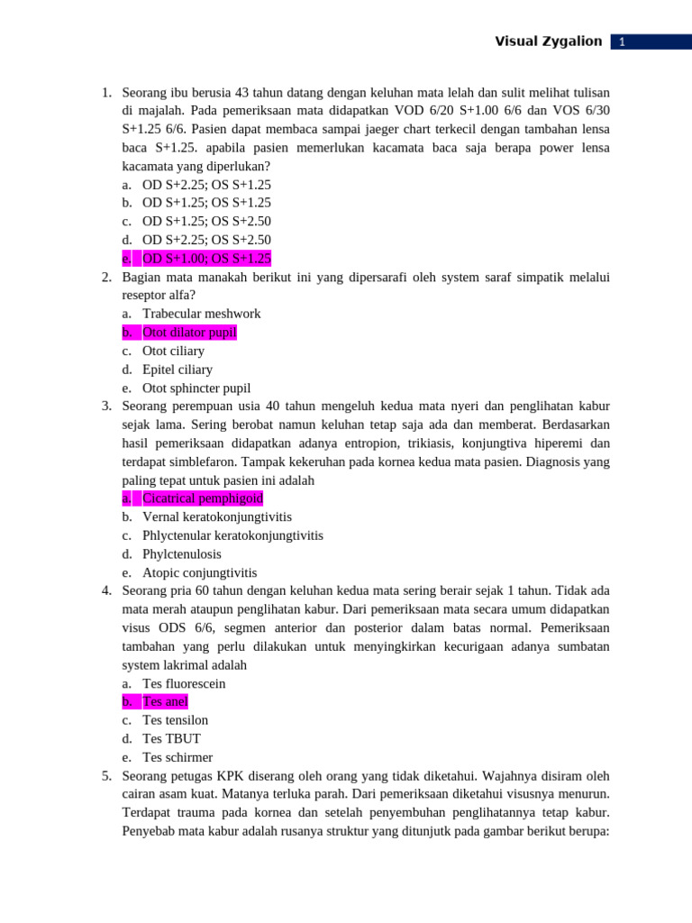 Soal Visual Zygalion 2020 | PDF
